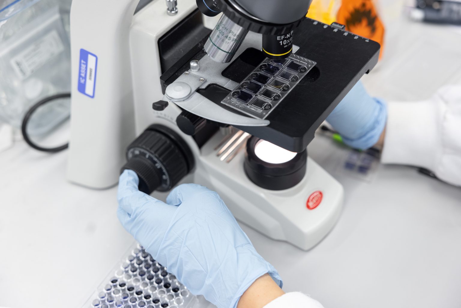 The Lloyd lab – Imperial College London