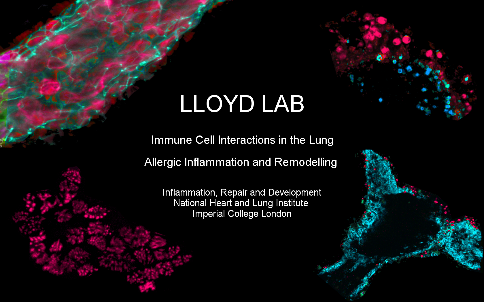 LLOYD LAB – Imperial College London